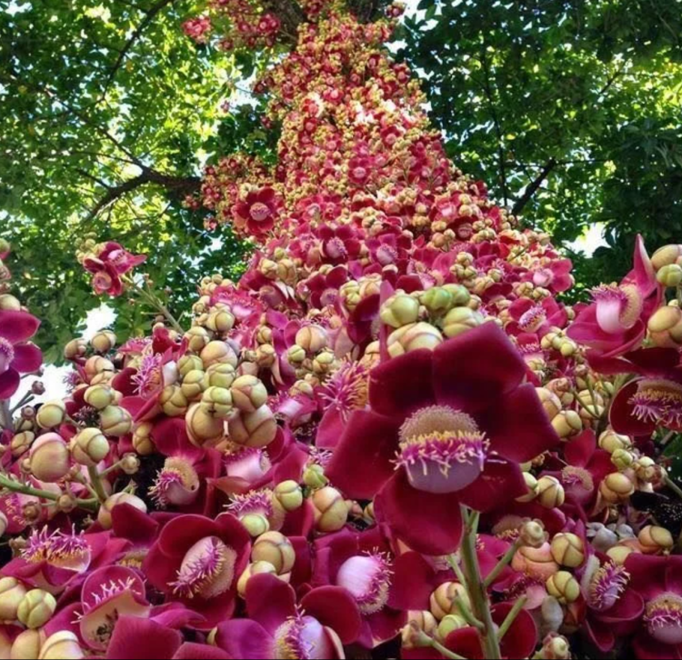 Jayne.press – A place where you can be human.